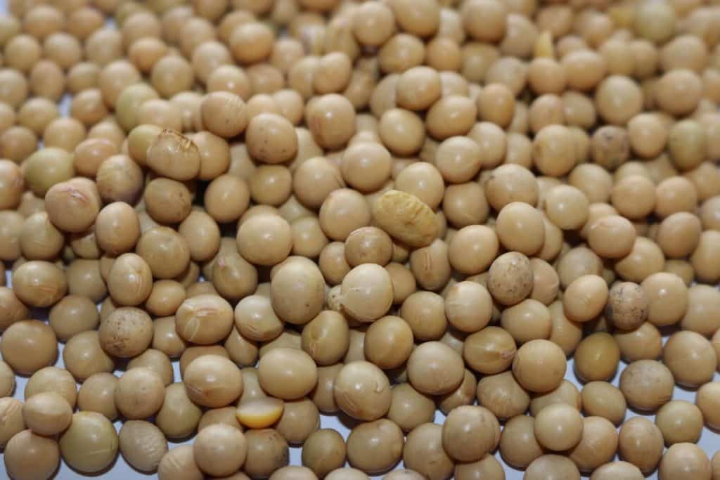 THE ‘HEALTH FOOD’ THAT POISONS - Natural Synergy
